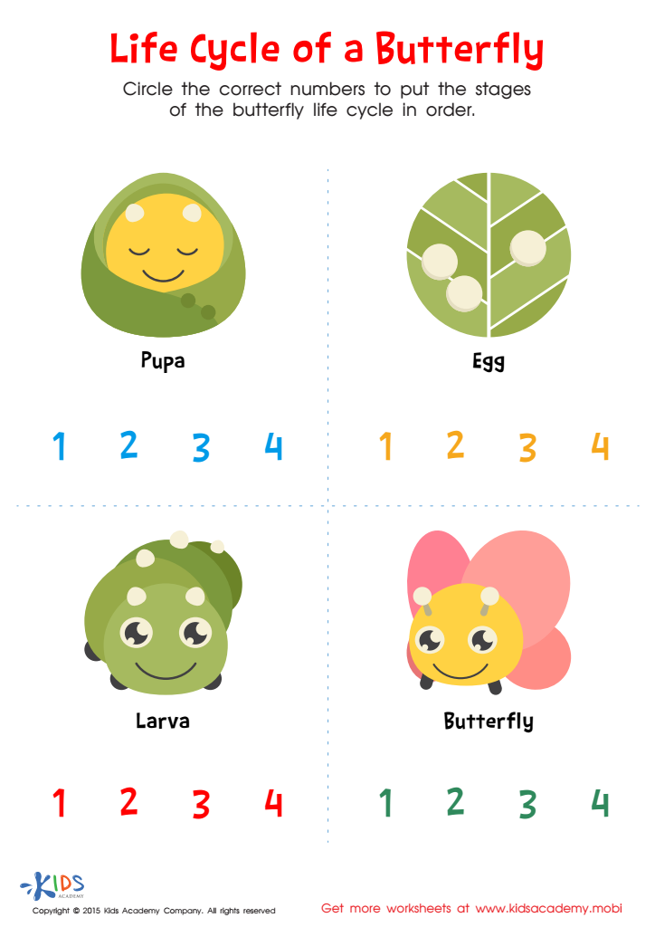 Life Cycle Of Butterfly Free Worksheet PDF For Kids
