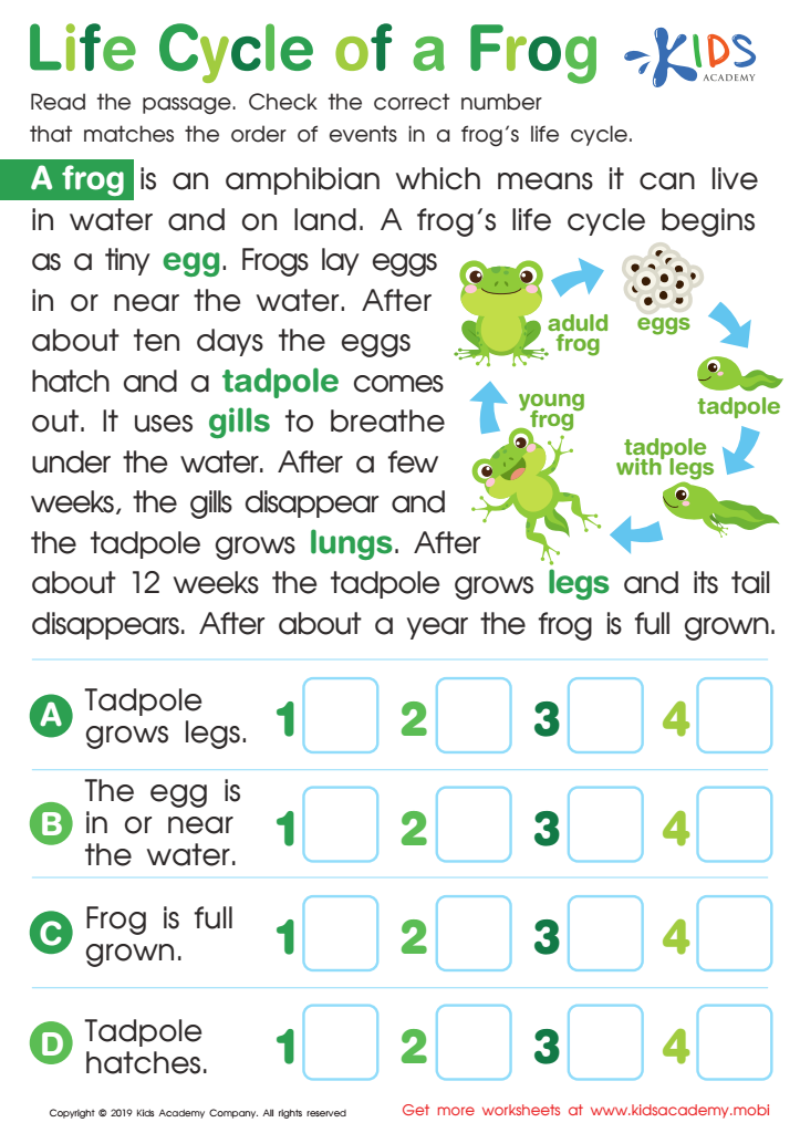 A Frog s Life Cycle Worksheet For Kids Vlr eng br