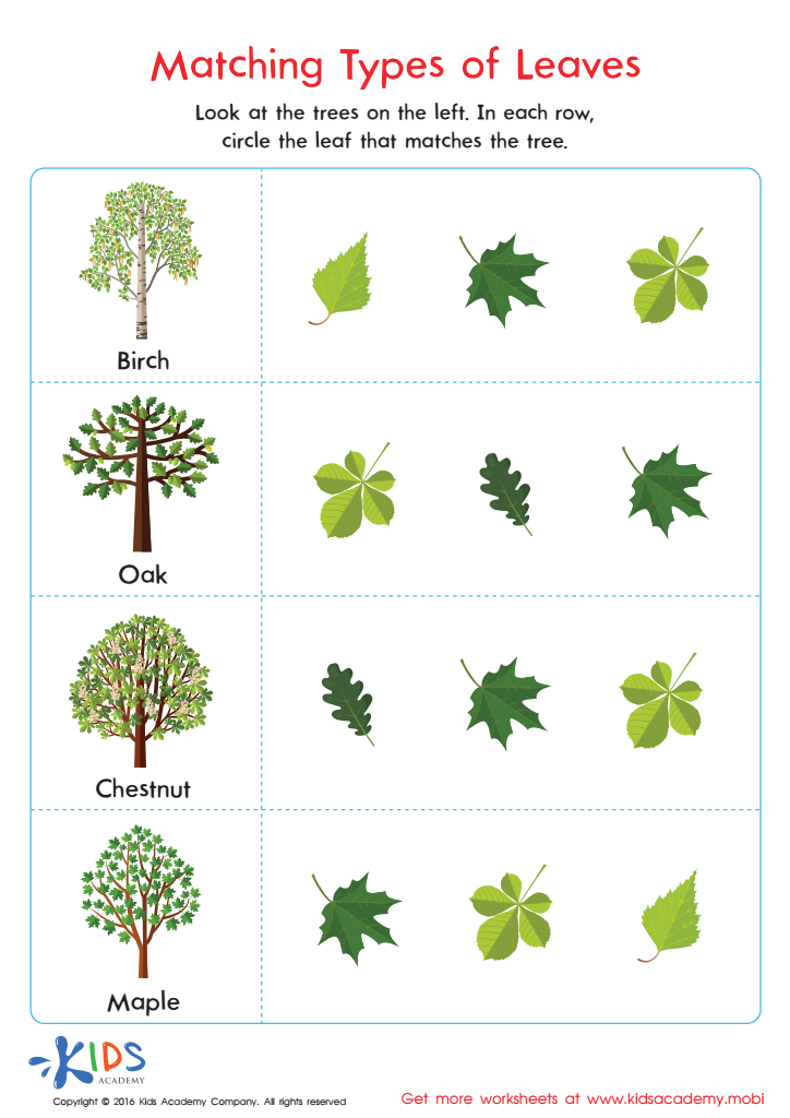 Matching Types Of Leaves Printable Free Worksheet For Kids