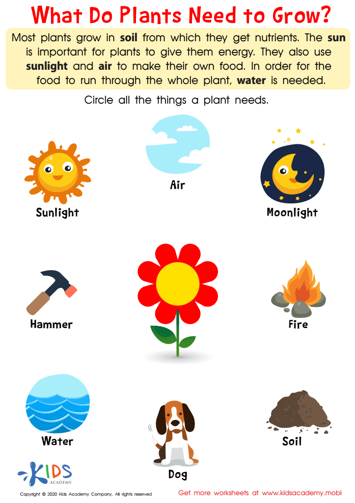 Grade 1 Plants Worksheets K5 Learning Parts Of The Plant 1 Grade 