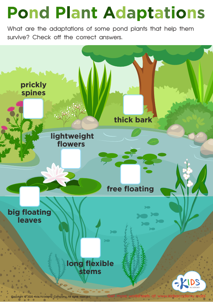 Pond Plant Adaptations Worksheet