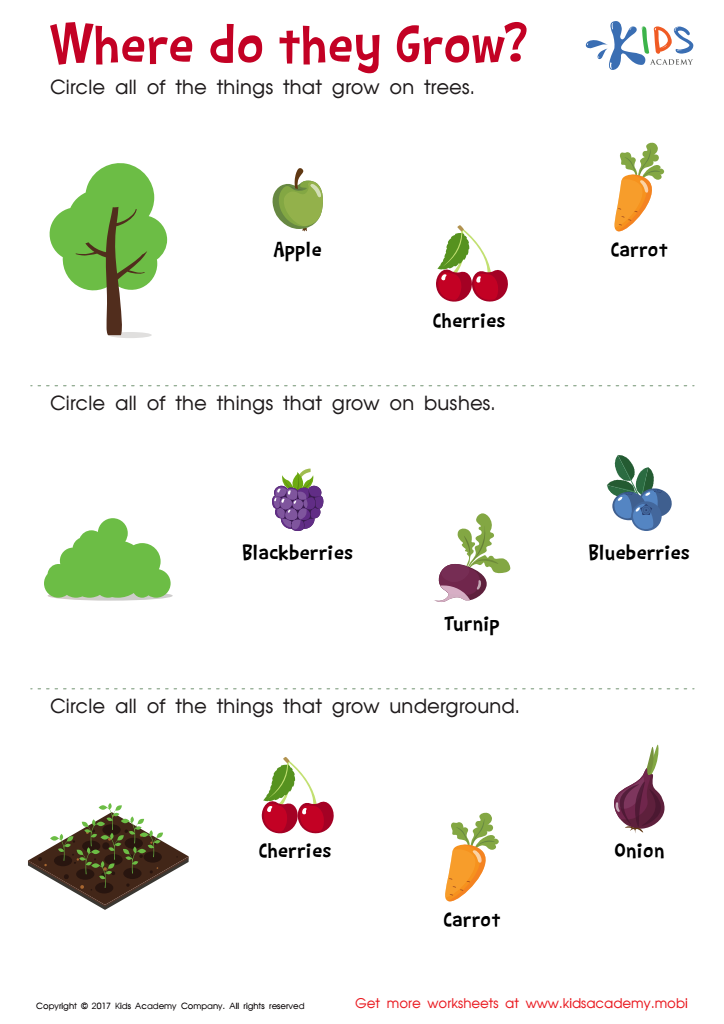 Where Do They Grow Worksheet Free Printout For Kids