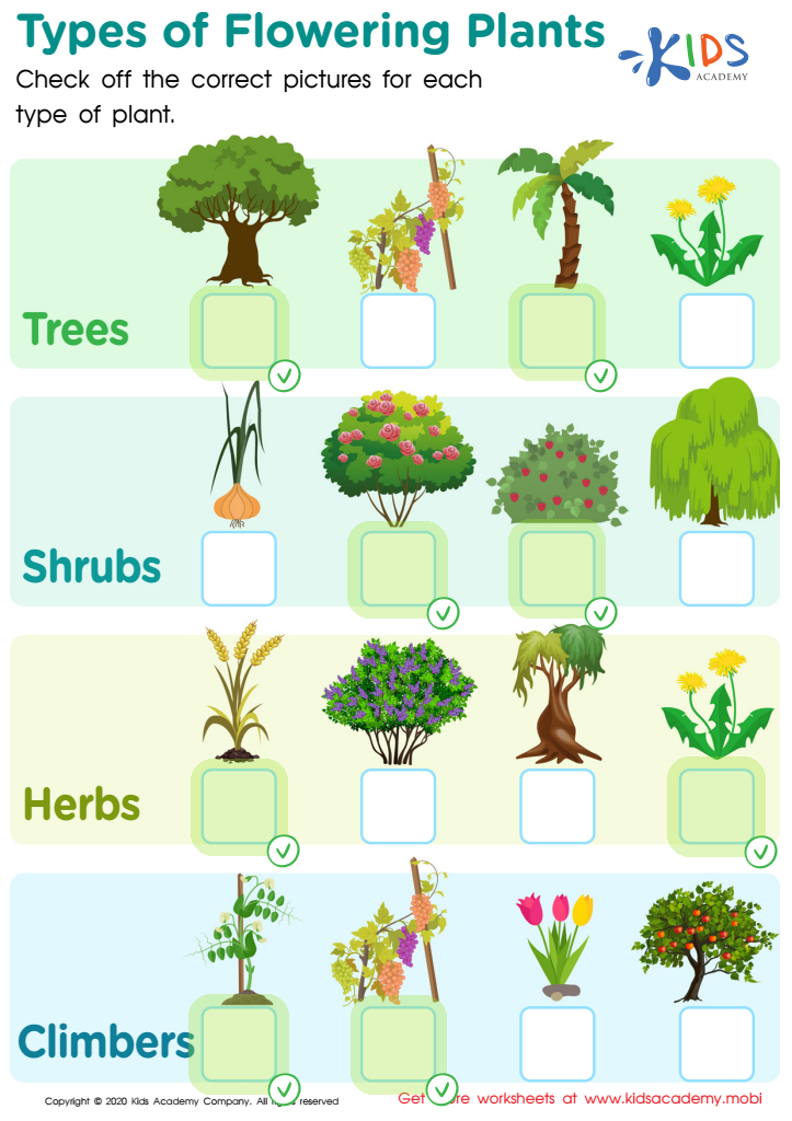 Types Of Flowering Plants Worksheet Answers And Completion Rate